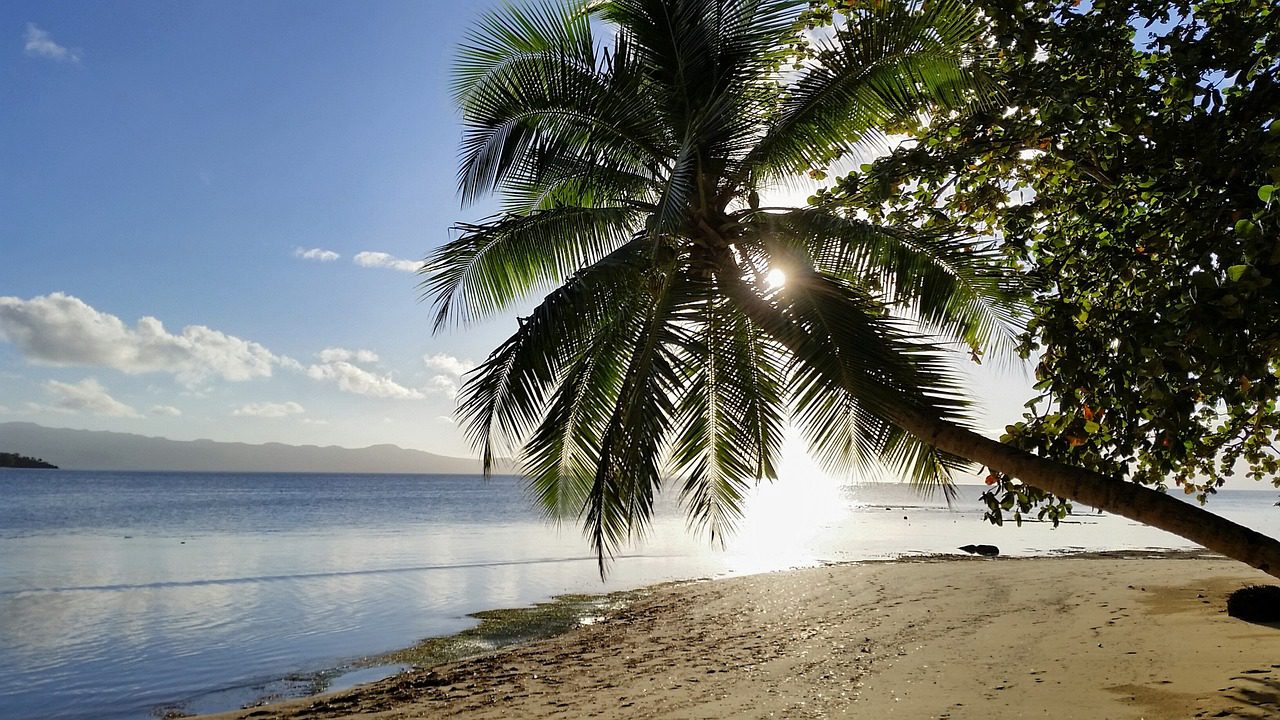 Find Weed in Taveuni | The Weedy Spliff