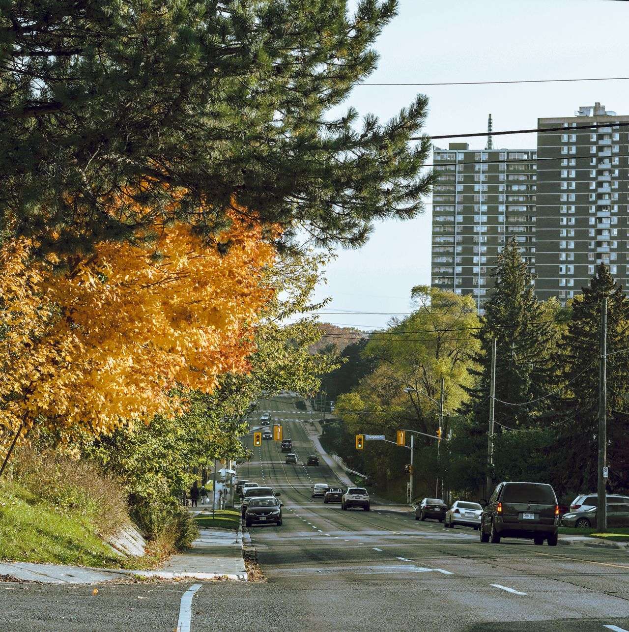 A Cannabis Travel Guide For Stoners To Find Weed in Oakville